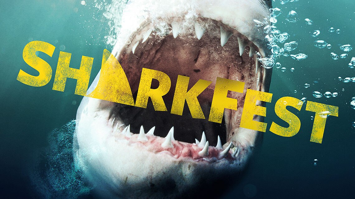 700 Sharks | Sky.com