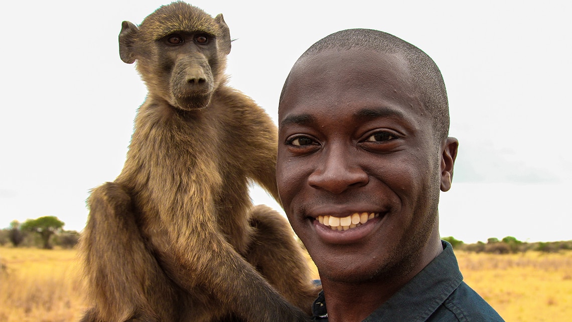 Monkeys: An Amazing Animal Family | Sky.com